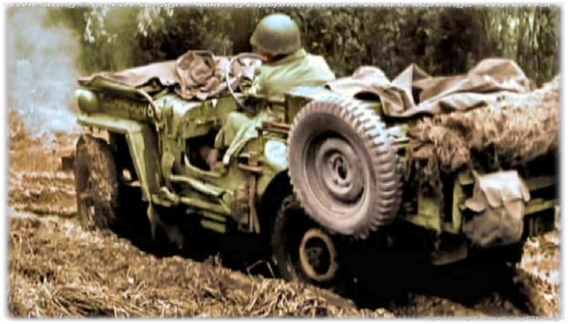 Jeep - Willys MB & Ford GPW